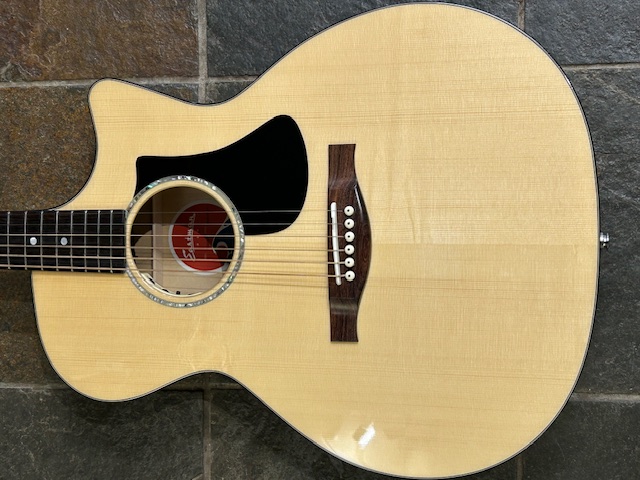 B-STOCK Eastman PCH3 GACE Natural