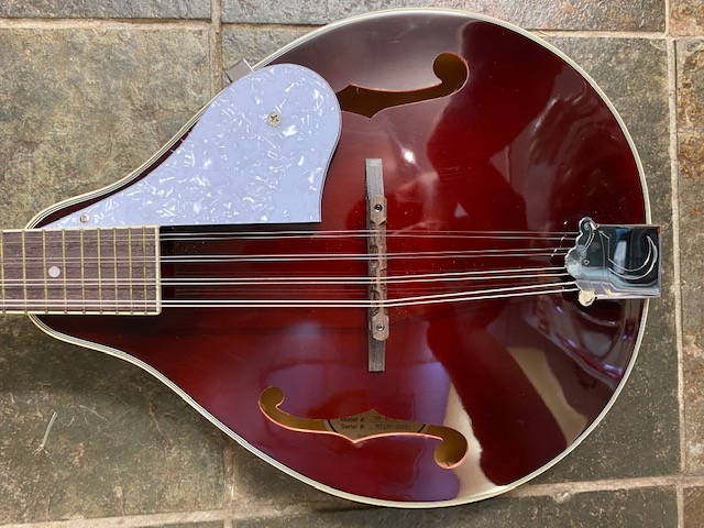 Tanglewood TWMTWR Mandolin