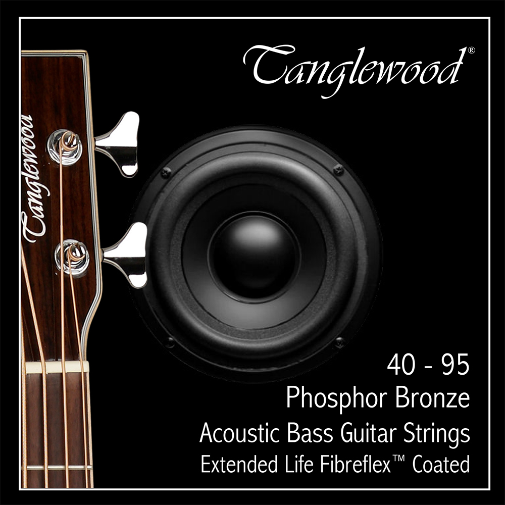 Tanglewood Acoustic Bass Coated Strings