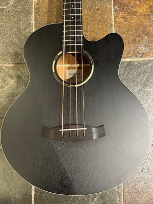 Electro Acoustic Bass Guitars - Back Alley Music